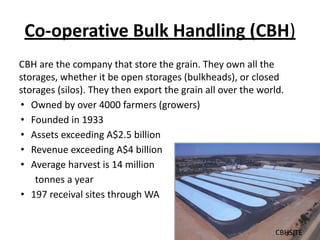 (This is for grain)Tarping Induction.pptx.pdf