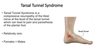 Tarsal Tunnel Syndrome and mortons neuroma | PPTX