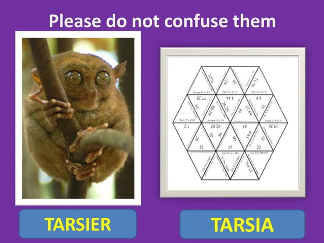 Tarsia | PPTX | Technology & Computing