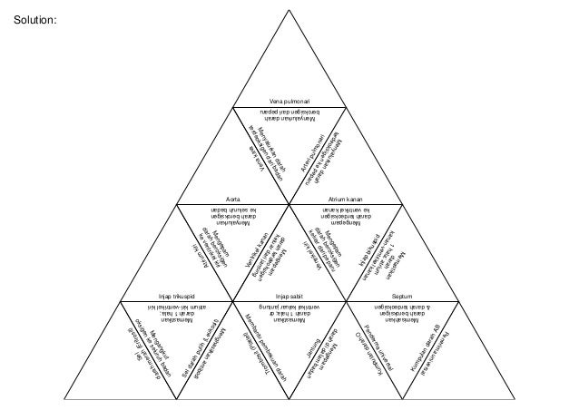 Tarsia SNT3B3 Jantung Darah.pdf