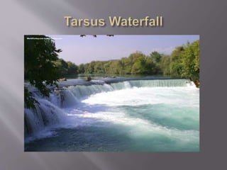 Tarsus | PPT