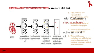 Laboratory diagnosis of HIV infection. | PPTX