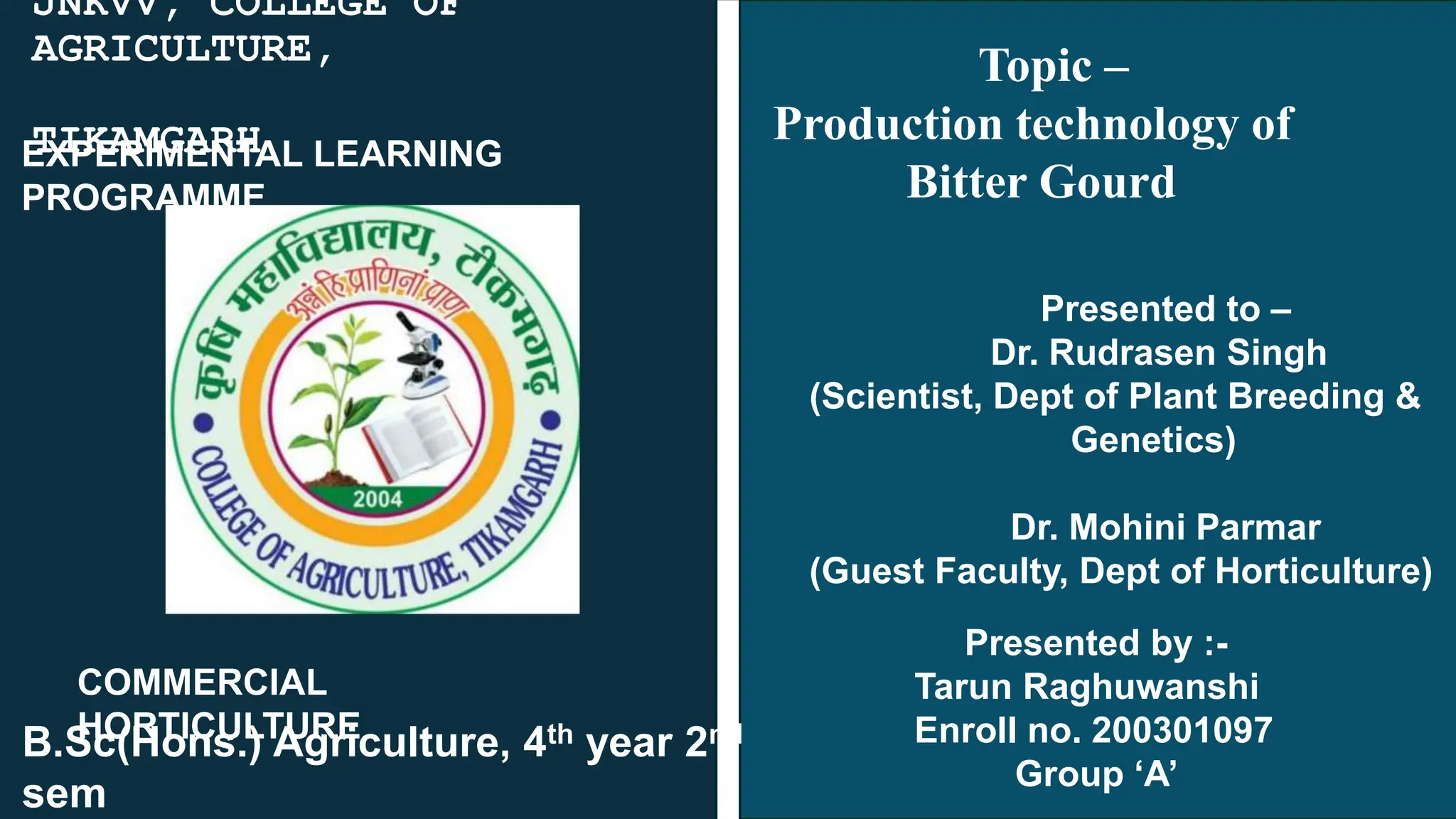 Horticulture Vegetable Crops Bitter Gourd PPtx. | PPT