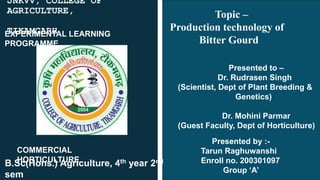 Horticulture Vegetable Crops Bitter Gourd PPtx. | PPT