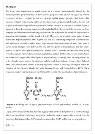 Isolation and characterization of Lignin-degrading microbes | DOCX