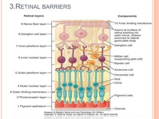 ocular barriers and methods to overcome barriers | PPTX