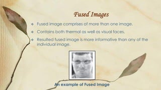 Thermal Infrared Face Recognition | PDF