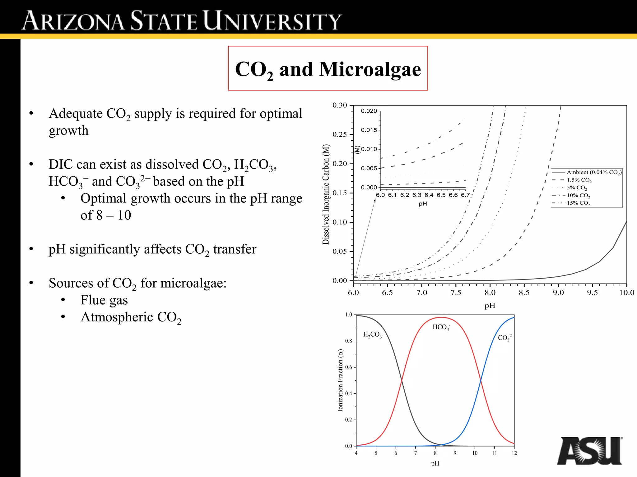 Carbon dioxide transfer characteristics of hollow-fiber, composite ...