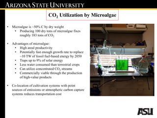 Carbon dioxide transfer characteristics of hollow-fiber, composite ...