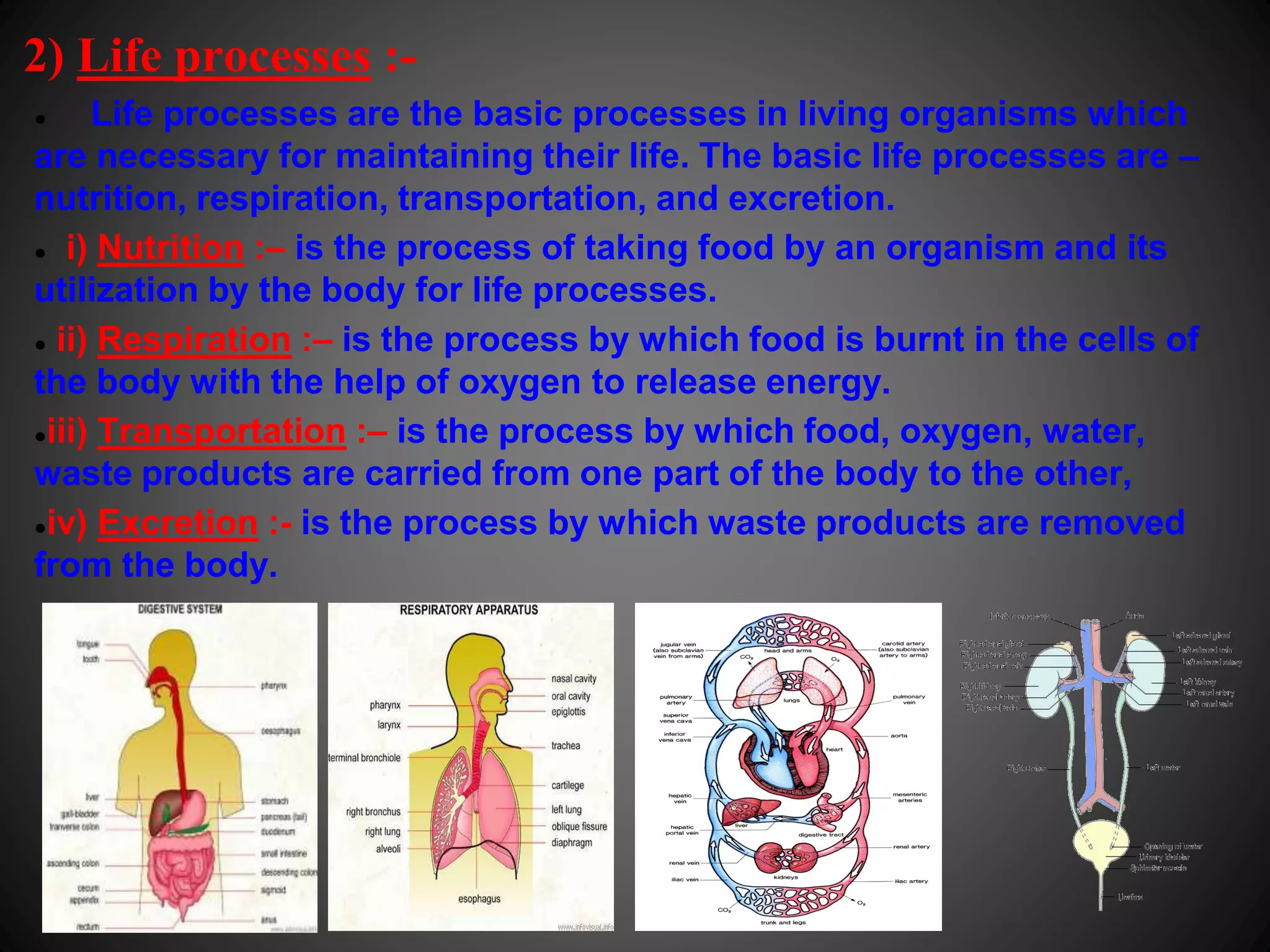 Tarun's ppt biology 10th 'b' 33 | PPTX