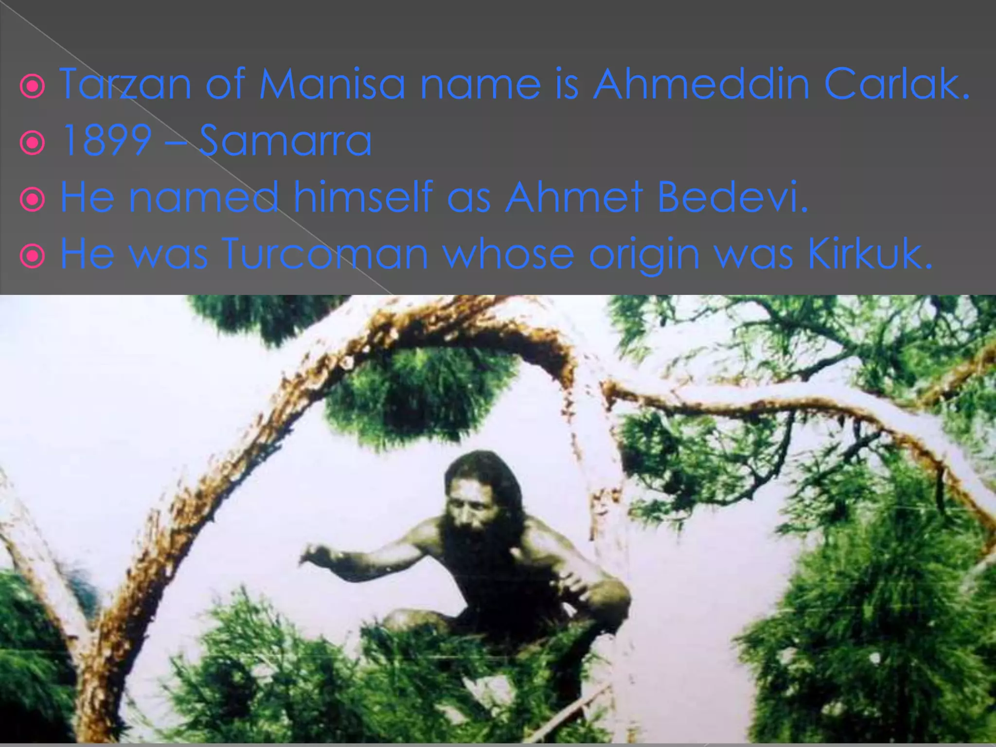 Tarzan of Manisa | PPTX