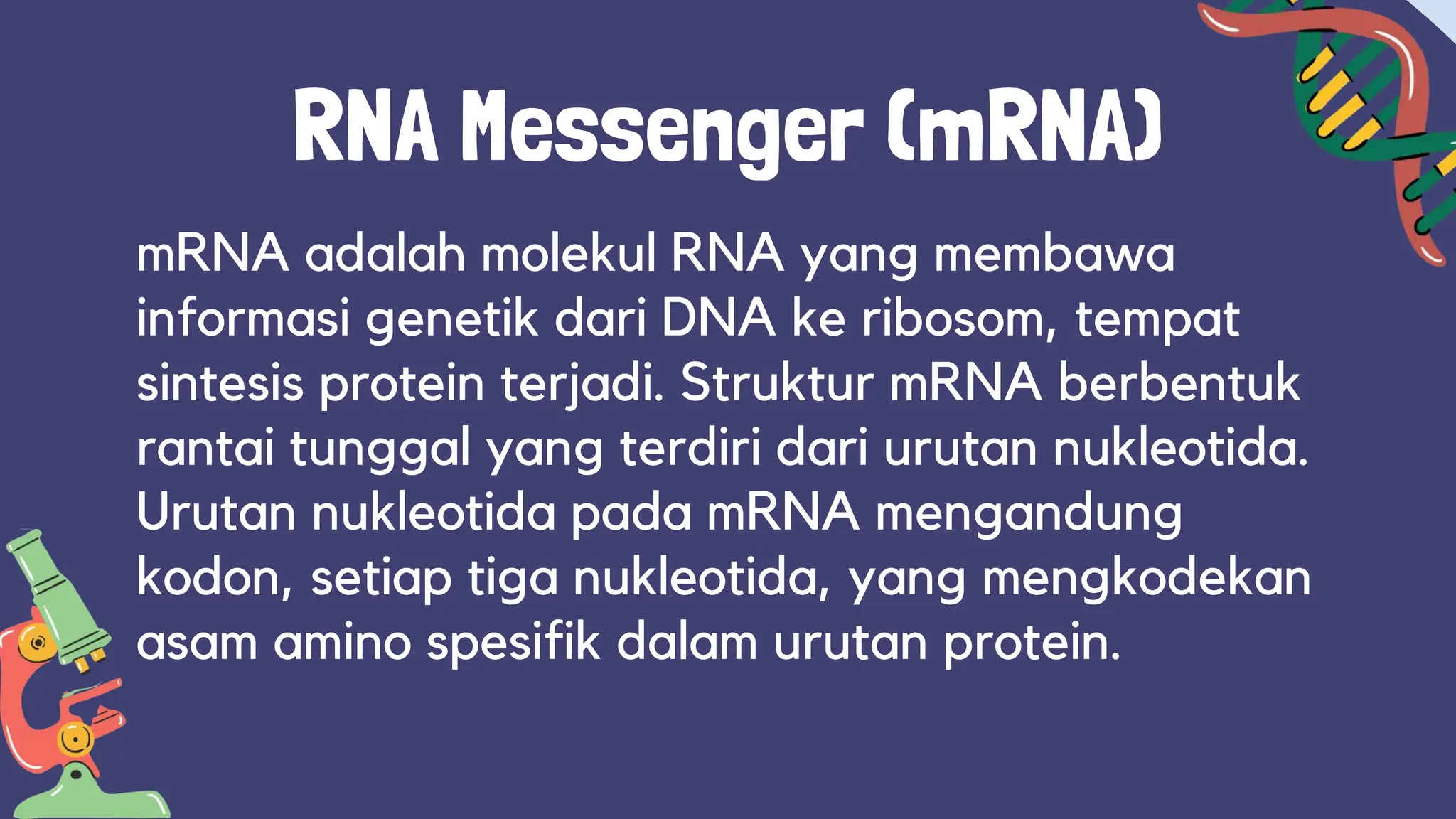 STRUKTUR DNA & RNA.pptx
