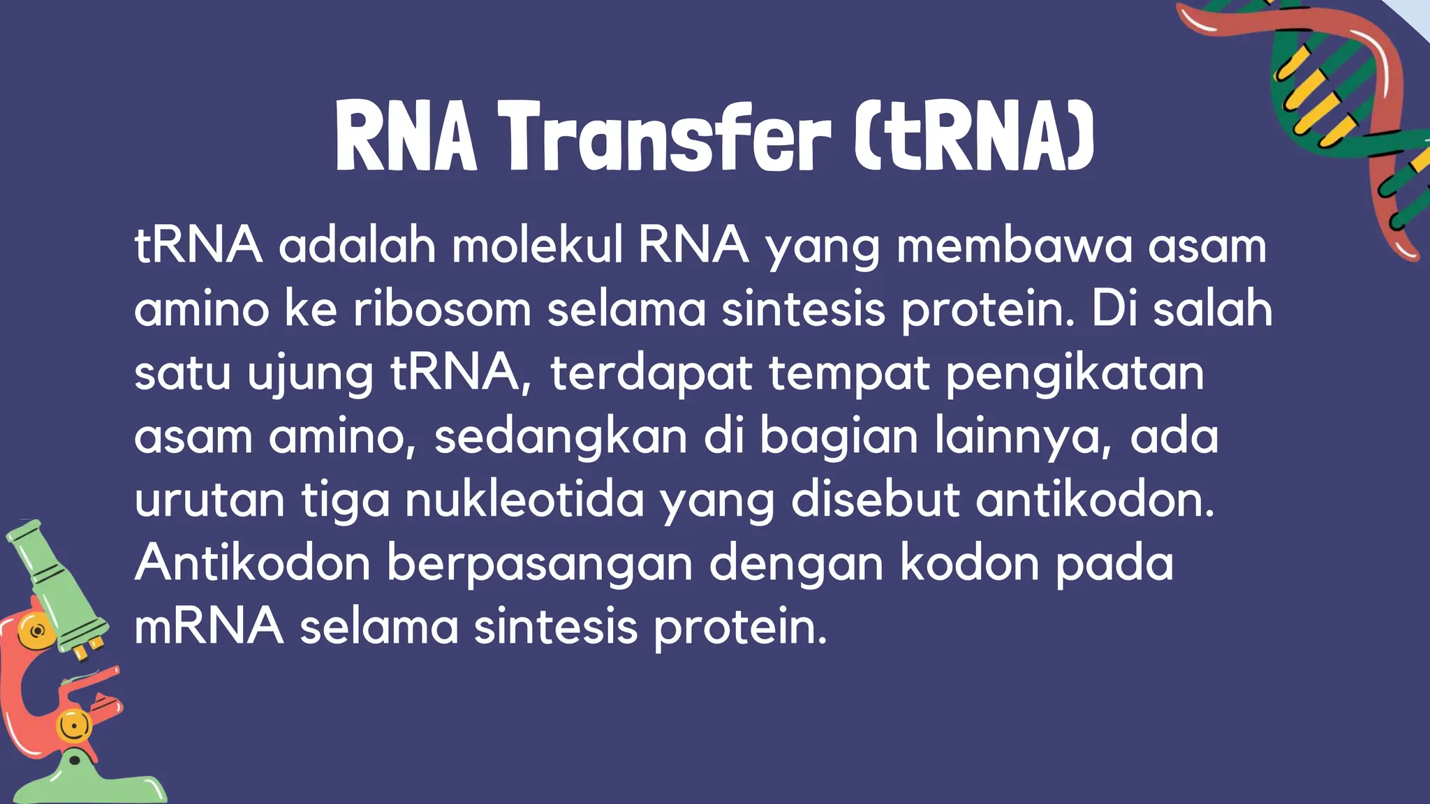 STRUKTUR DNA & RNA.pptx