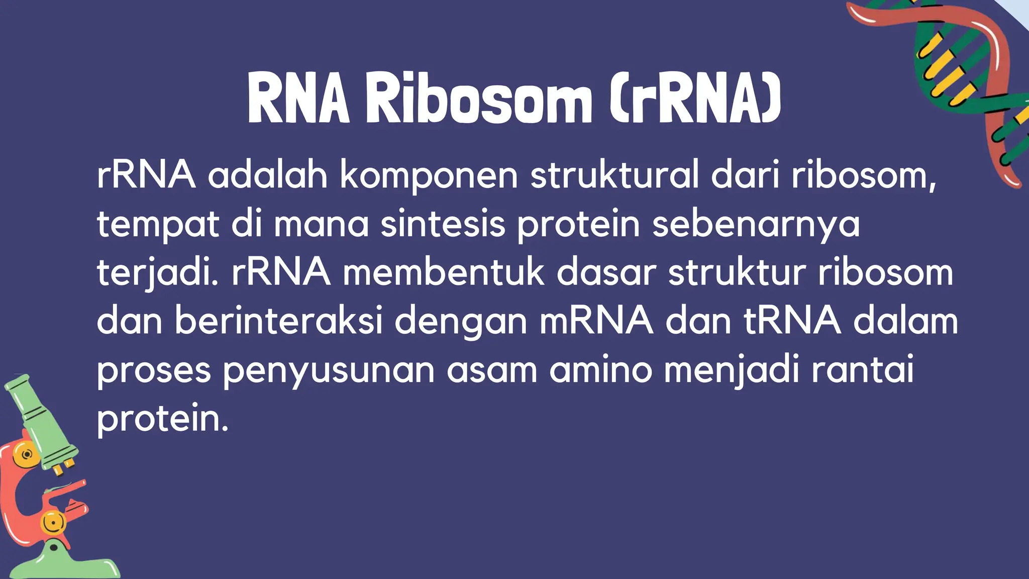 STRUKTUR DNA & RNA.pptx