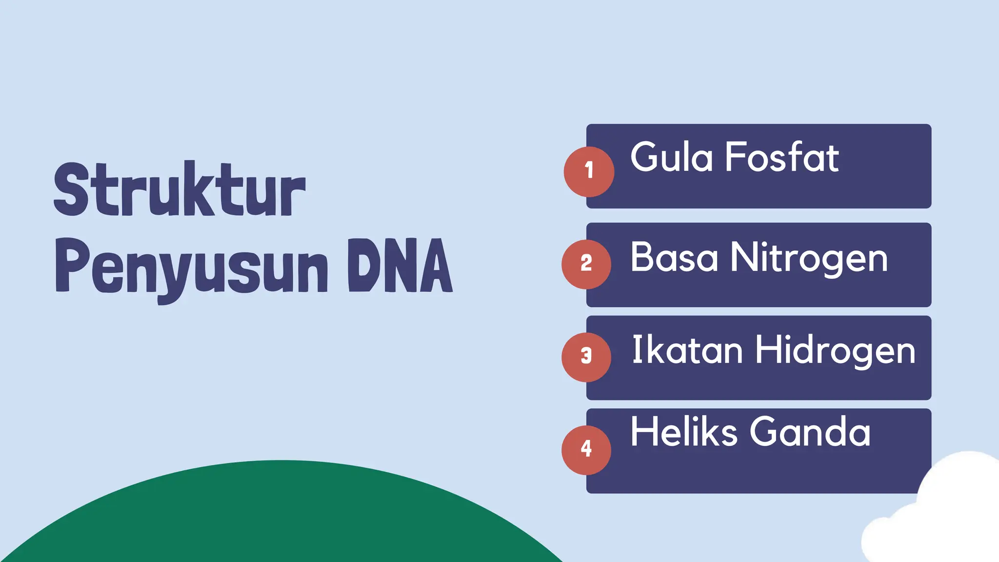 STRUKTUR DNA & RNA.pptx