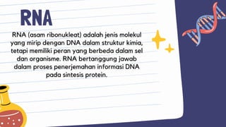 STRUKTUR DNA & RNA.pptx