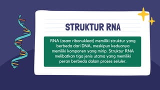 STRUKTUR DNA & RNA.pptx