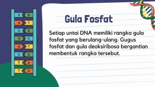 STRUKTUR DNA & RNA.pptx