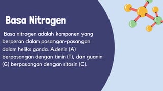 STRUKTUR DNA & RNA.pptx