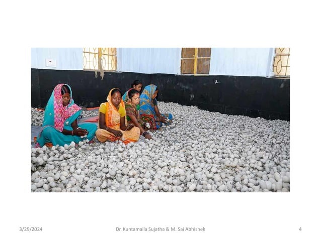 Tasar silkworm culture - development.pptx | Agriculture | Industries
