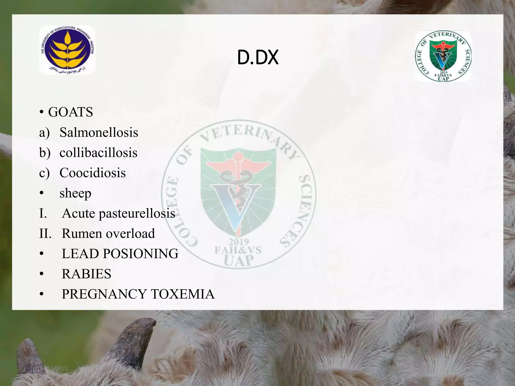 Enterotoxemia in sheep Goat | PPTX
