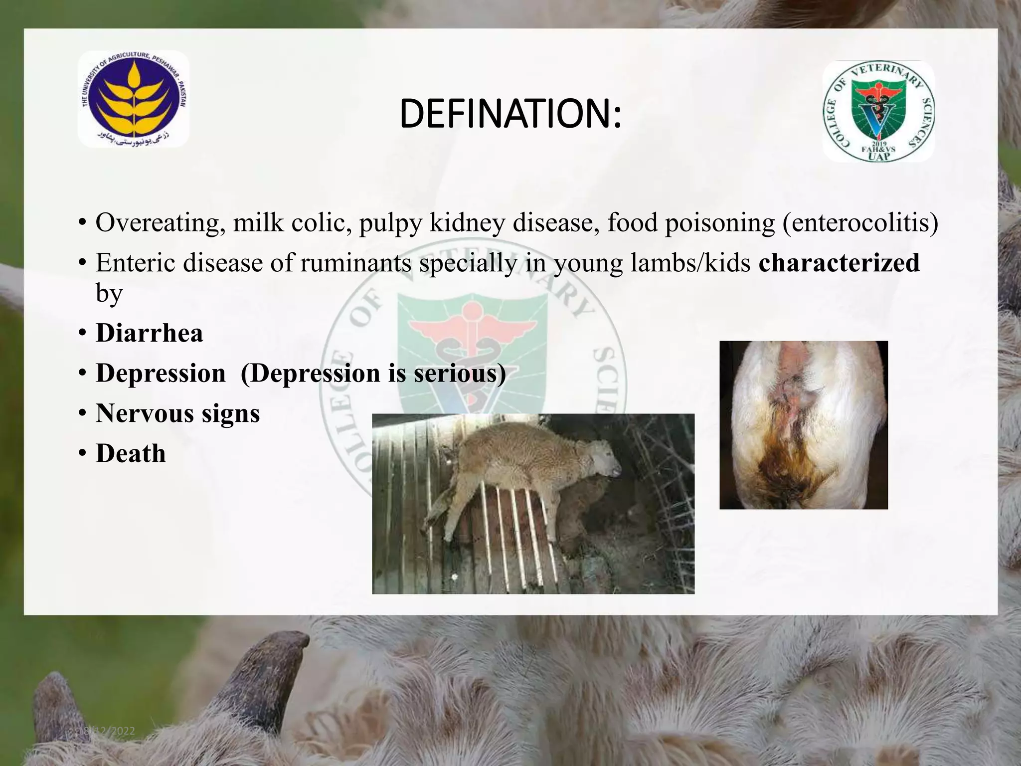 Enterotoxemia in sheep Goat | PPTX