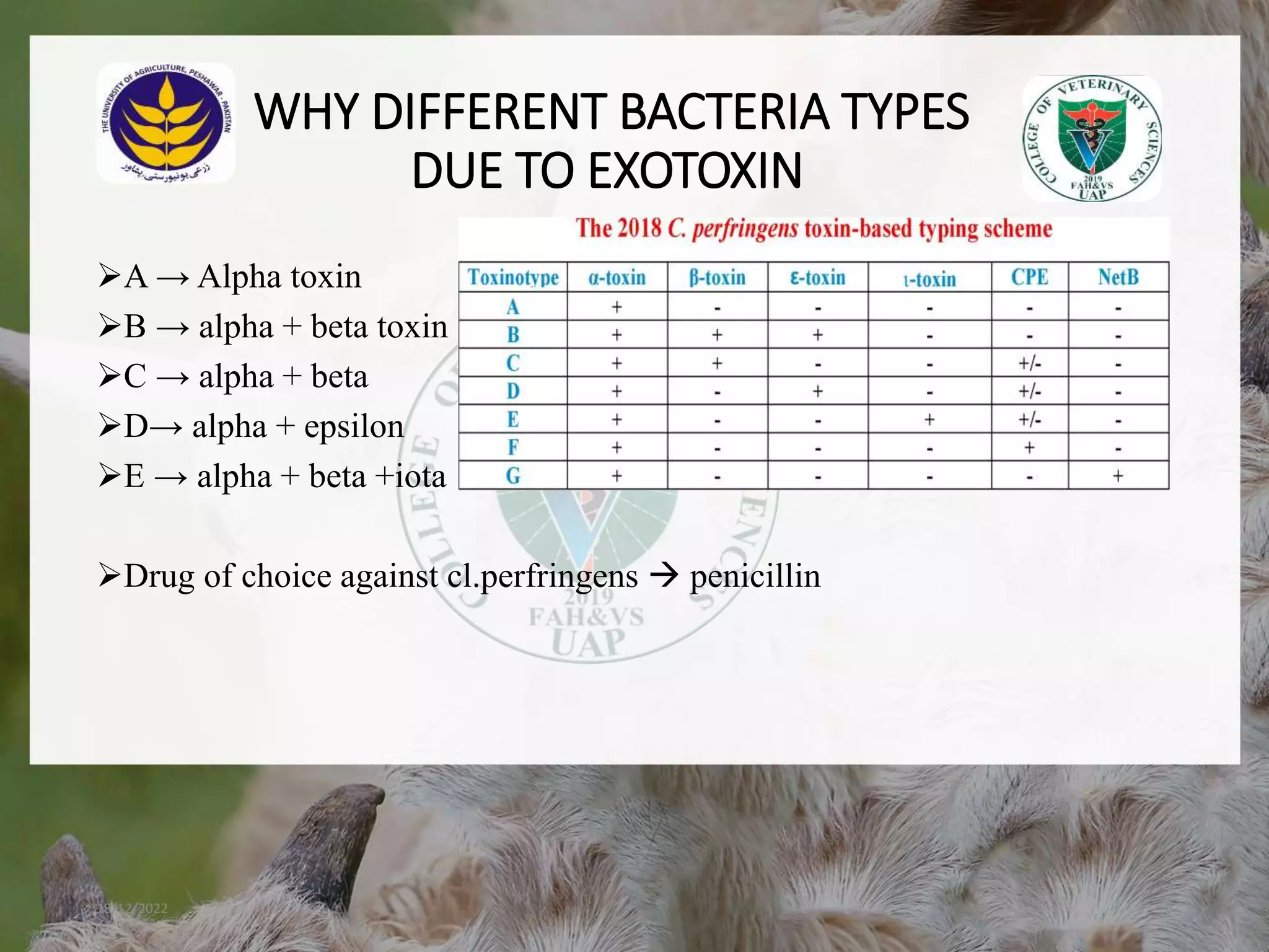 Enterotoxemia in sheep Goat | PPTX