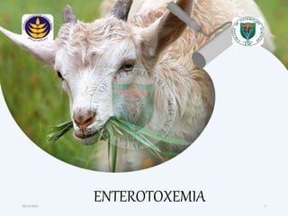 Enterotoxemia in sheep Goat | PPTX