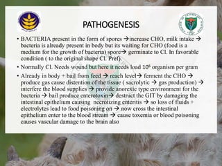 Enterotoxemia in sheep Goat | PPTX
