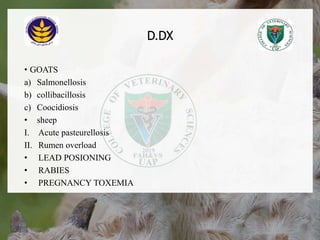 Enterotoxemia in sheep Goat | PPTX