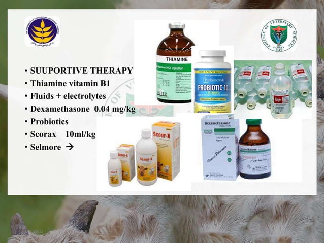Enterotoxemia in sheep Goat | PPTX