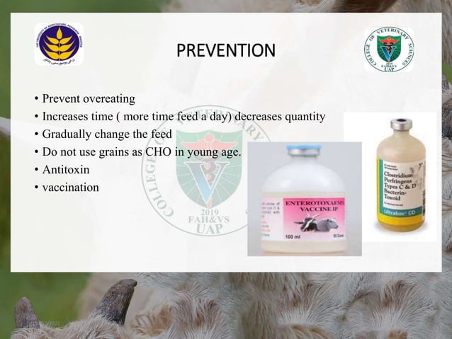 Enterotoxemia in sheep Goat | PPTX