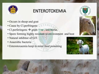 Enterotoxemia in sheep Goat | PPTX