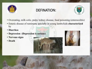 Enterotoxemia in sheep Goat | PPTX