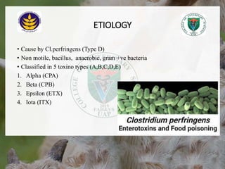 Enterotoxemia in sheep Goat | PPTX