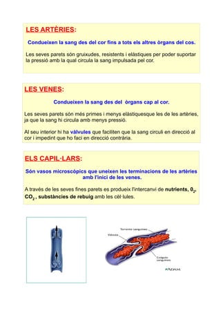 Tasca 2.sistema circulatori sanguini | PDF