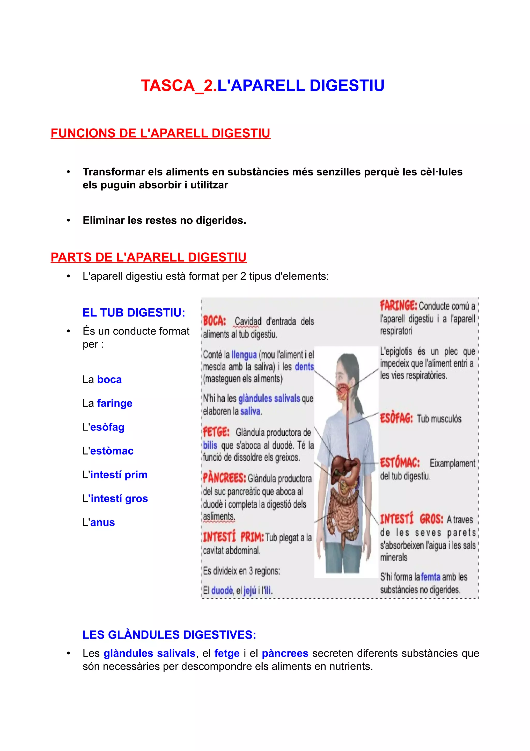 Tasca 2.l'aparell digestiu | PDF