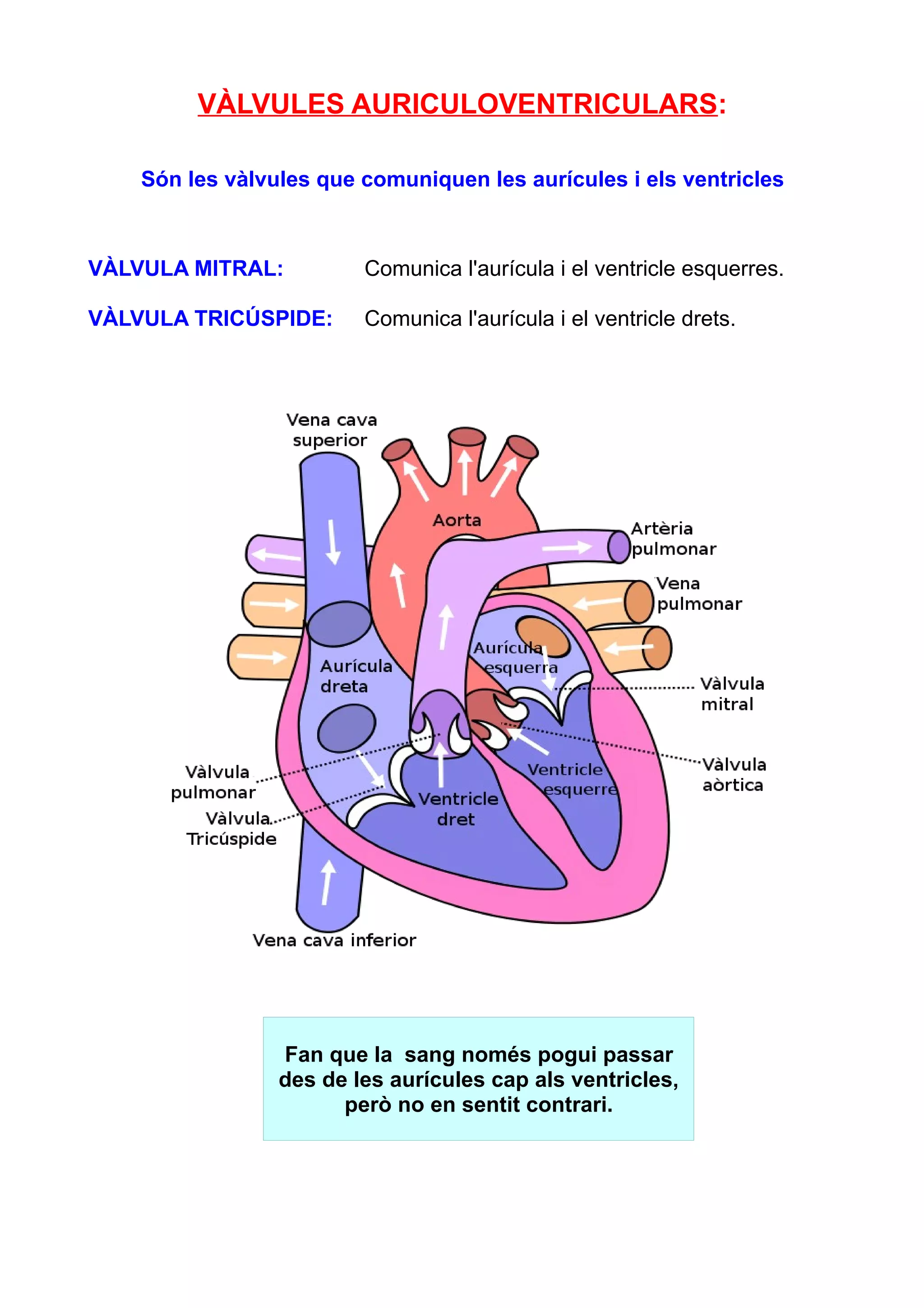 Tasca 4.el cor | PDF