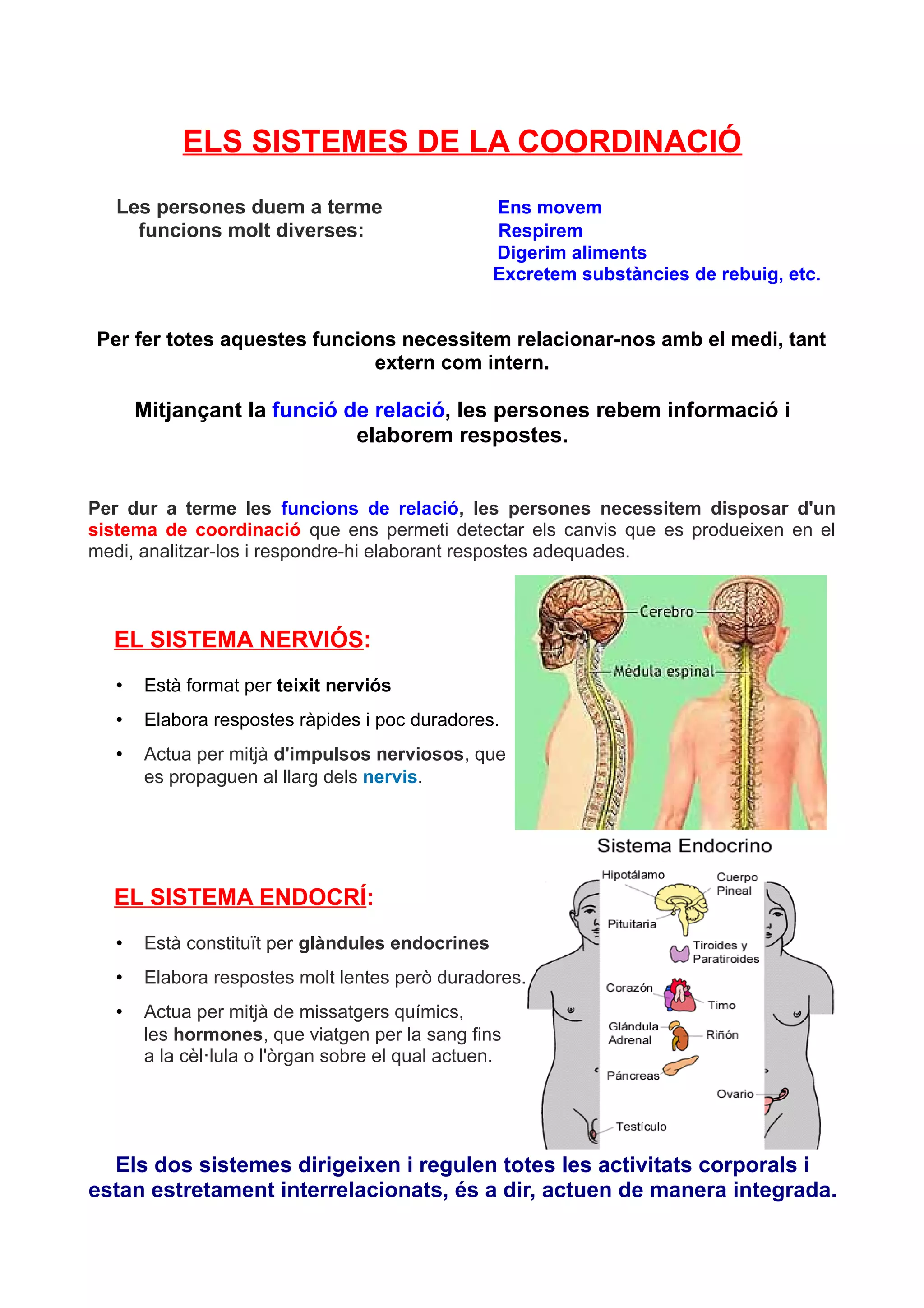 Tasca 6.1.els sistemes de la coordinació | PDF