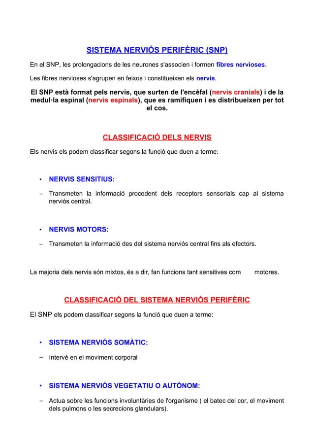 Tasca 6.3.el sistema nerviós | PDF