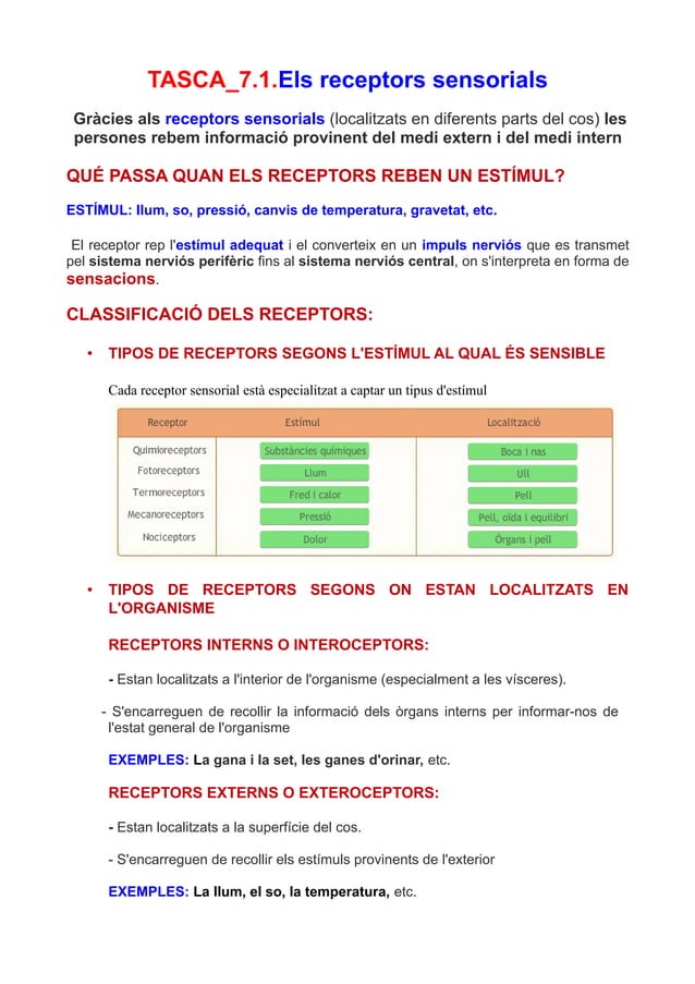 Tasca 7.1.els receptors sensorials | PDF