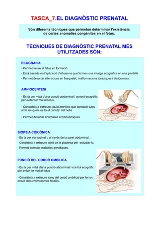 Tasca 7.el diagnòstic prenatal | PDF