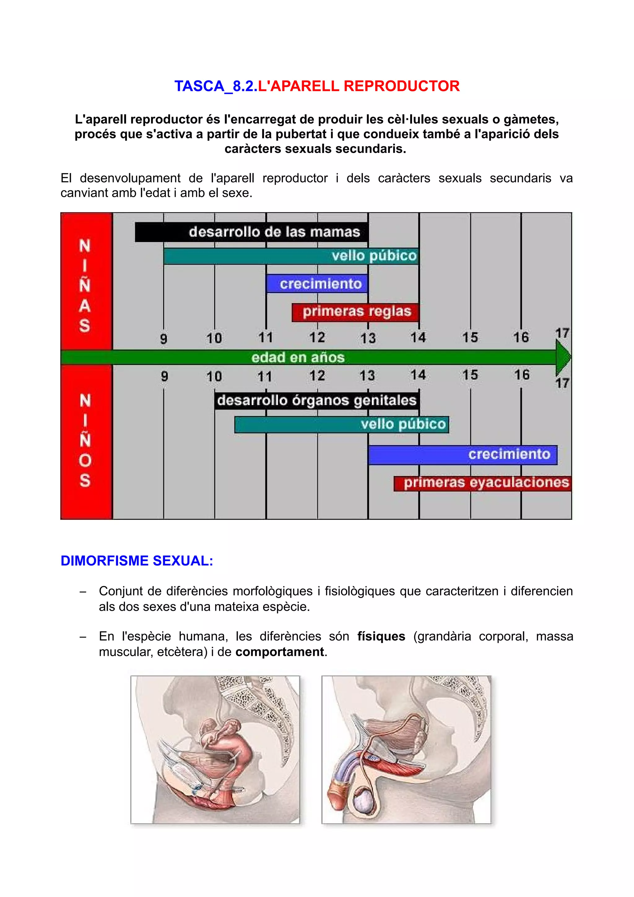 Tasca 8.2.l'aparell reproductor. | PDF