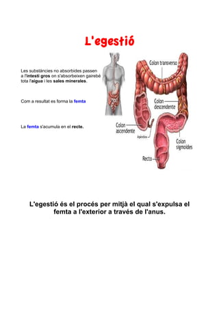 Tasca l'egestió | PDF