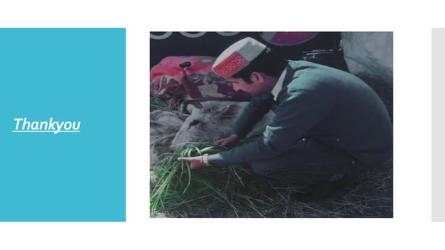 Bond of Human with Animal by Vishal Banga | PPT