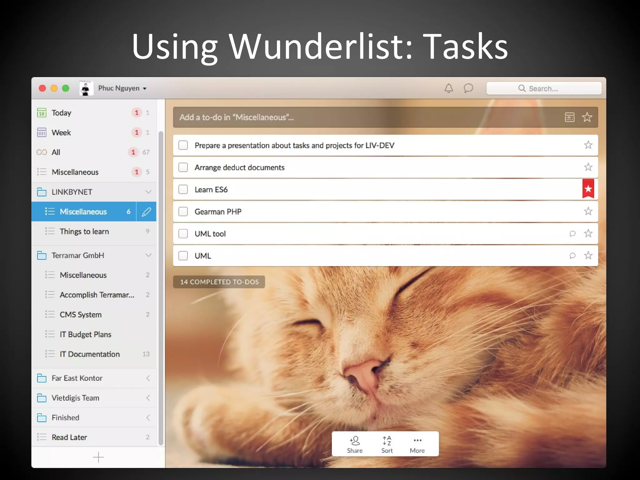 Task Management Workflow And Tool Ppt