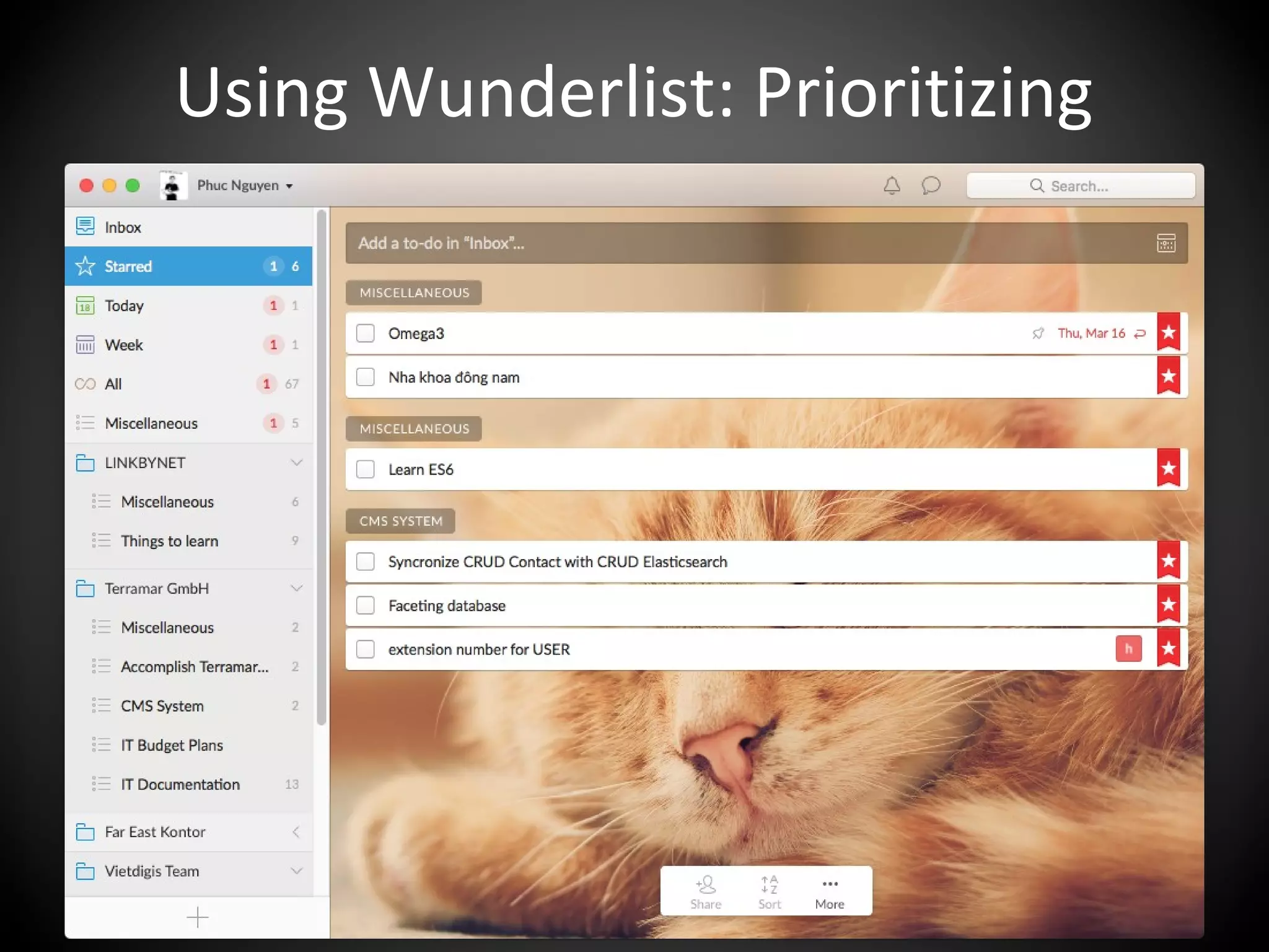 Task Management Workflow And Tool Ppt