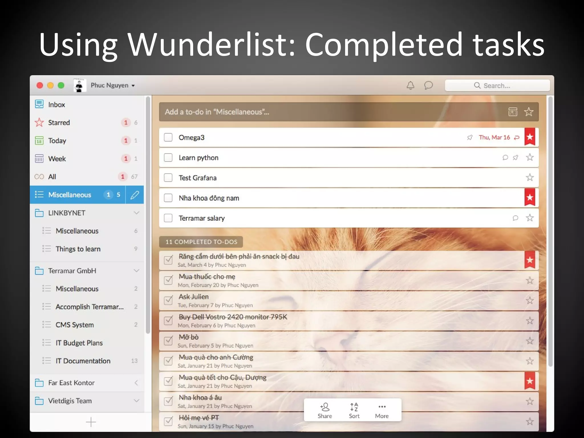Task Management Workflow And Tool Ppt