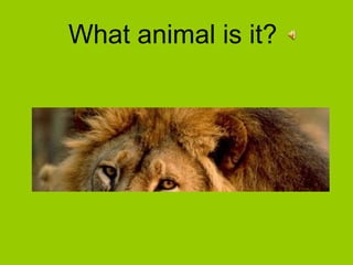 Task 1. what animal is it? | PPT