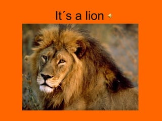 Task 1. what animal is it? | PPT
